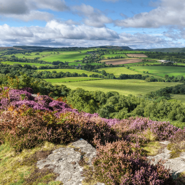 Bell Lodges | Luxury Holiday Lodges in Northumberland